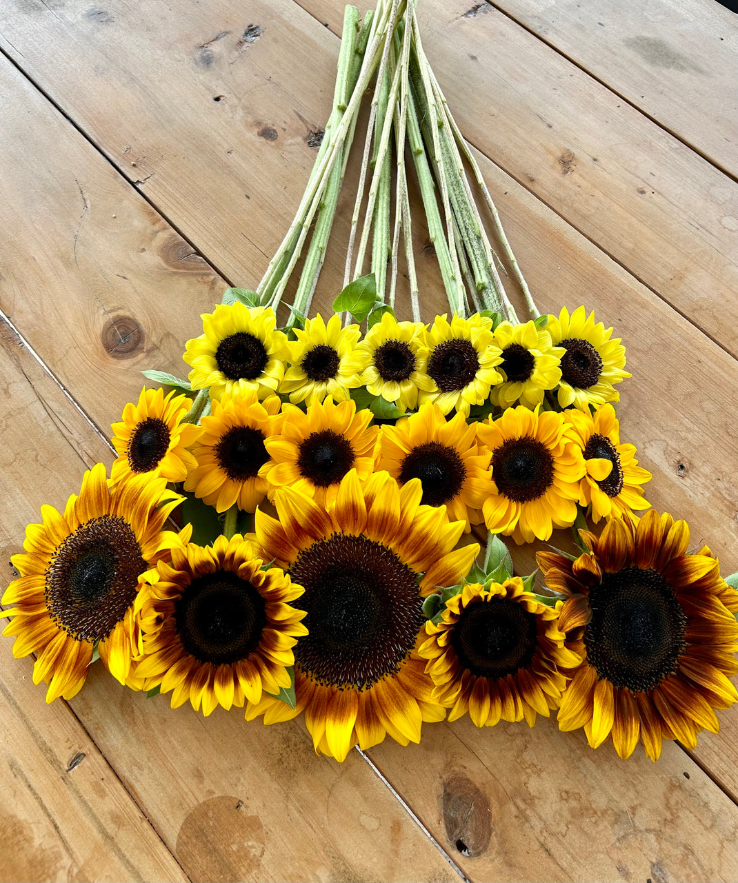 About – Red Fox Farm